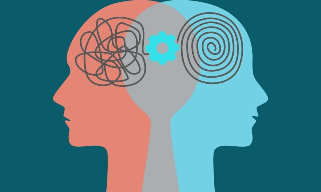 Why Behavioral Health Management is Essential for Individuals with I/DD ...